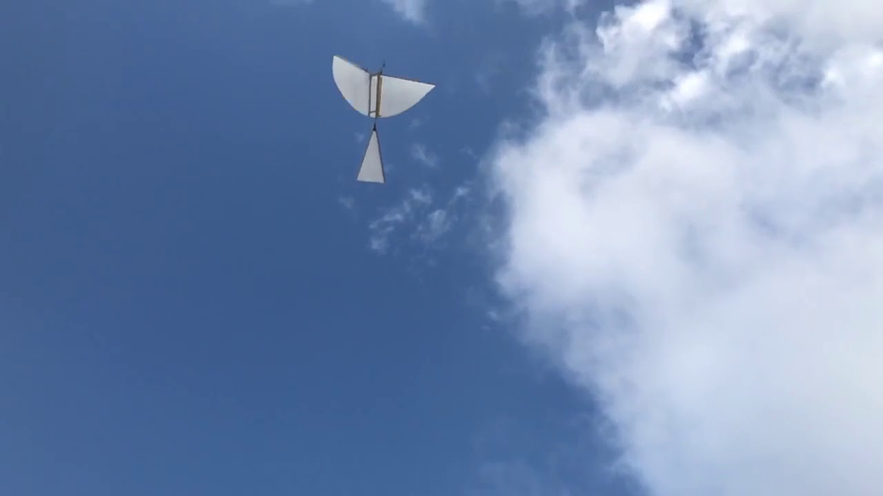 Ornithopter flight, rubber band powered Free Bird 2 - YouTube