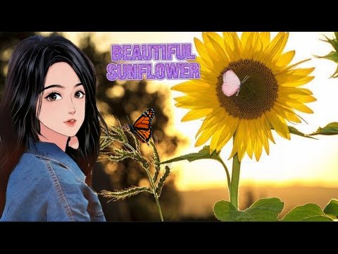 BEAUTIFUL SUNFLOWER #sunflower #garden #sunflower #flowers #flowerbloom - YouTube