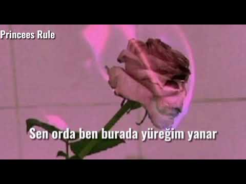 Toygar Işıklı-Sardunyalar (sözleri)