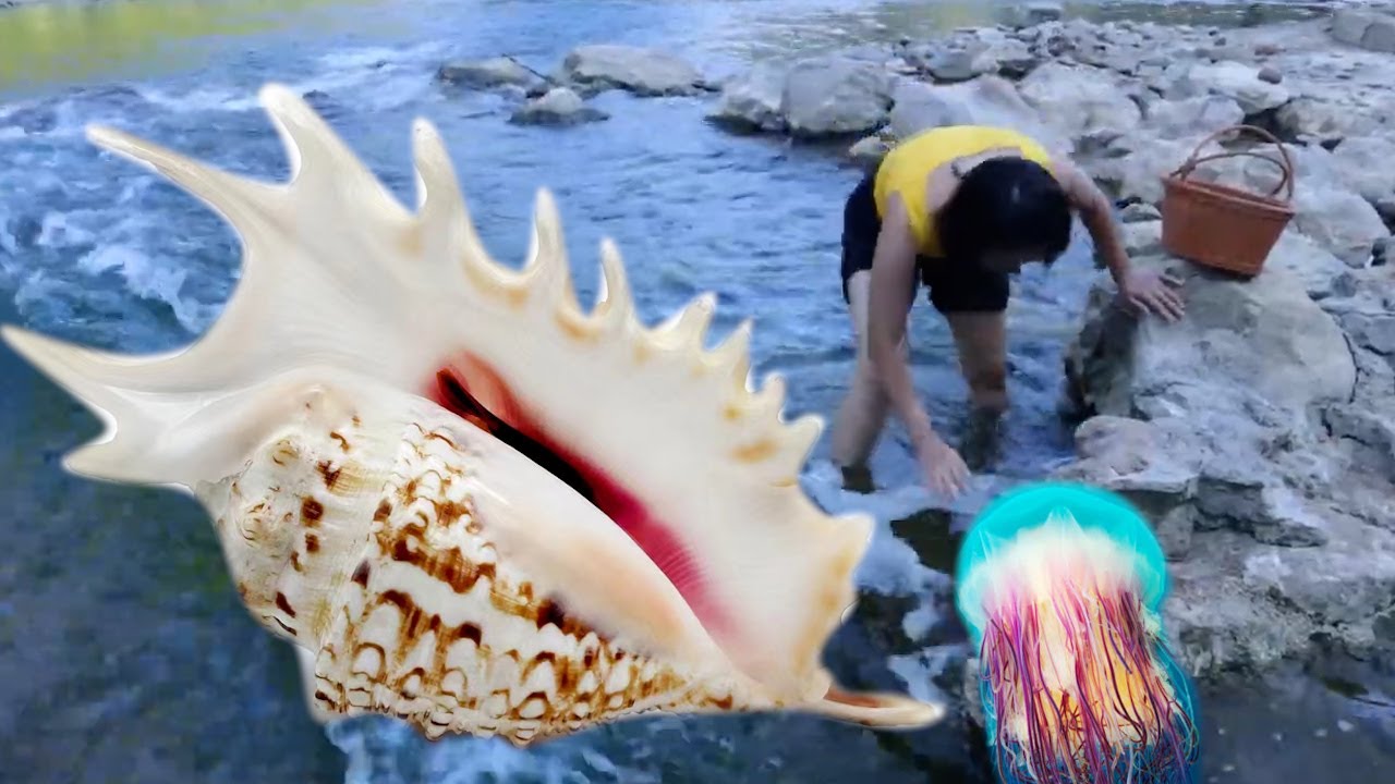 Opening the clam, the girl opened the opposite sex clam shell and ...