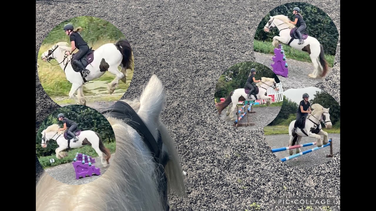 Jumping panda after a week of!! - YouTube