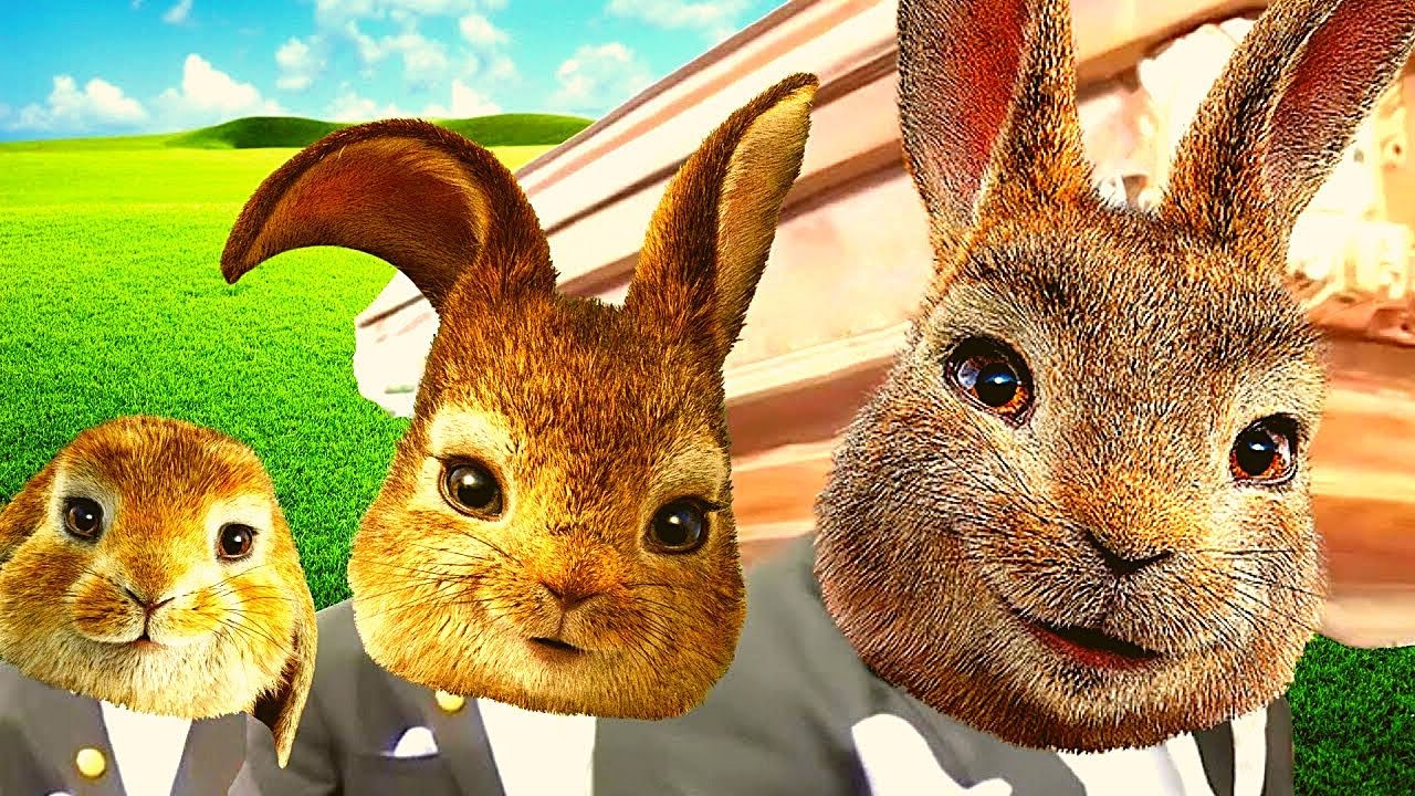 Peter Rabbit 2 - Coffin Dance Song COVER - YouTube Music
