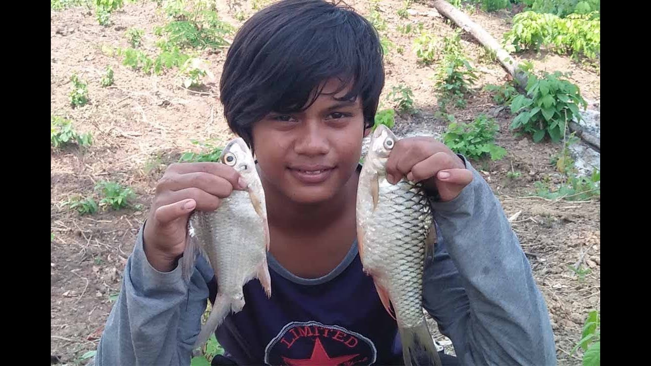 Awesome Cooking! A Cute Boy Burn fish with Aluminum foil - YouTube