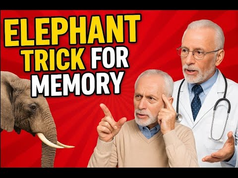THE ELEPHANT TRICK FOR MEMORY LOSS - (THE TRUTH) ELEPHANT TRICK FOR ...