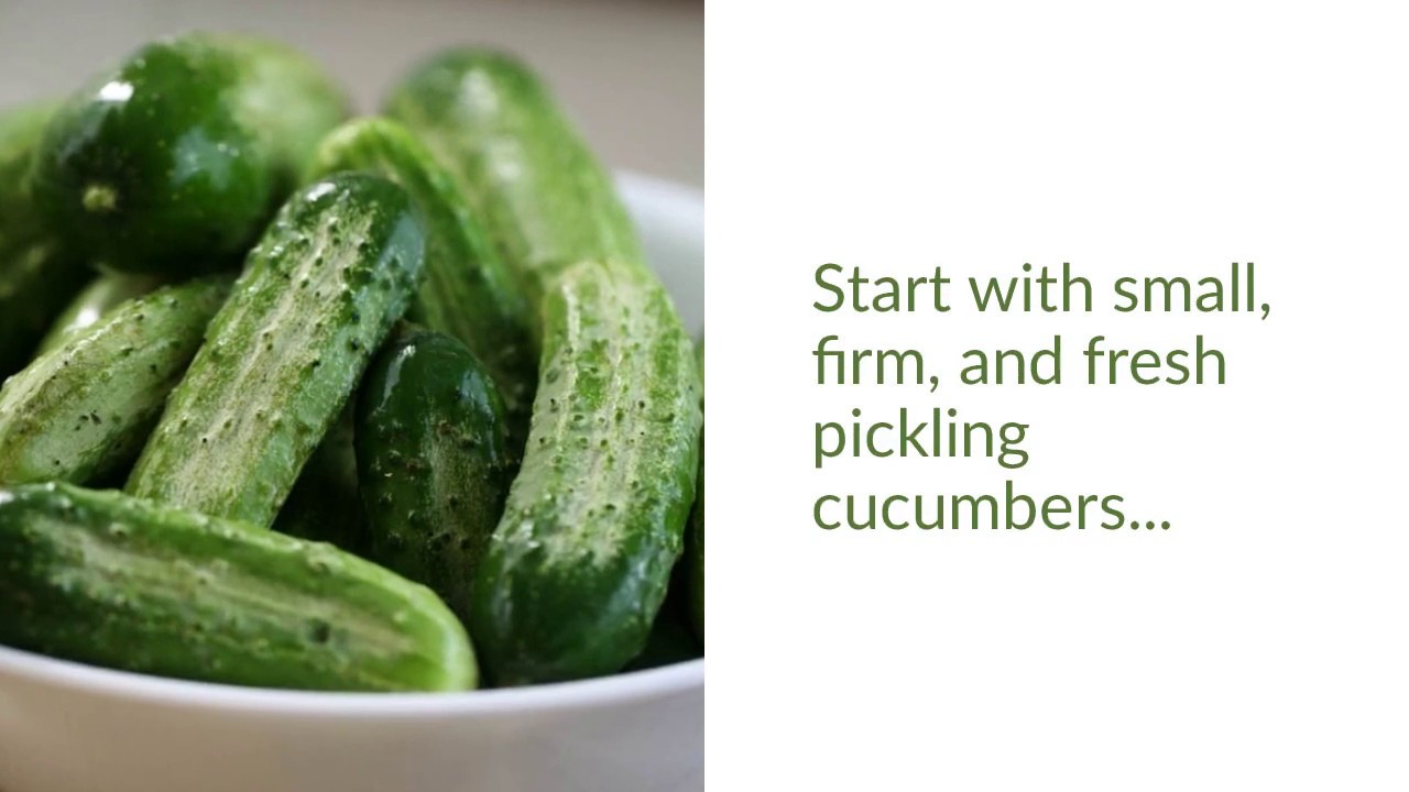 Fermenting Cucumbers: Making Israeli Pickles - YouTube