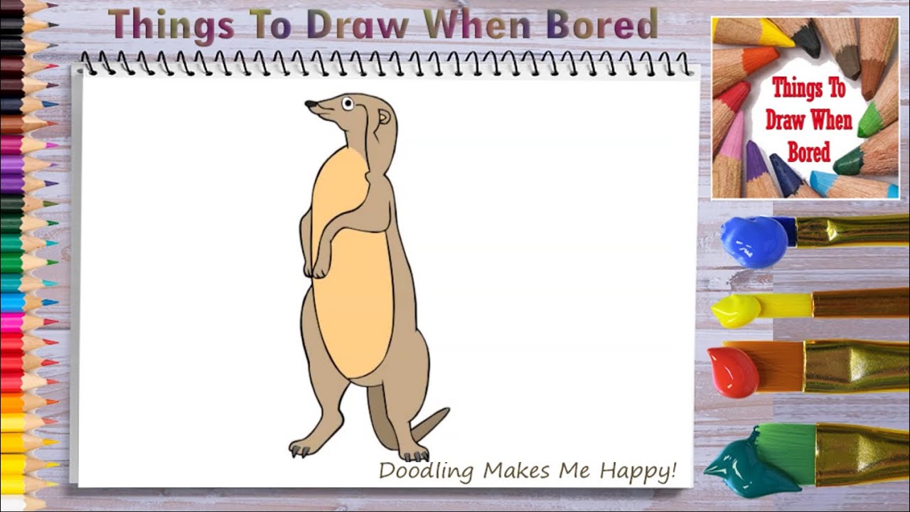 How To Draw A Mongoose Easy Step By Step - YouTube