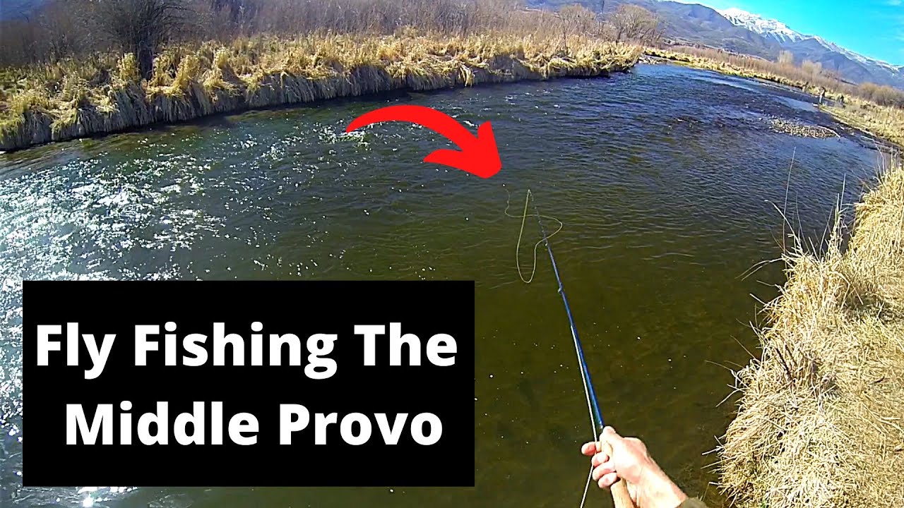 Fly Fishing The Middle Provo - YouTube