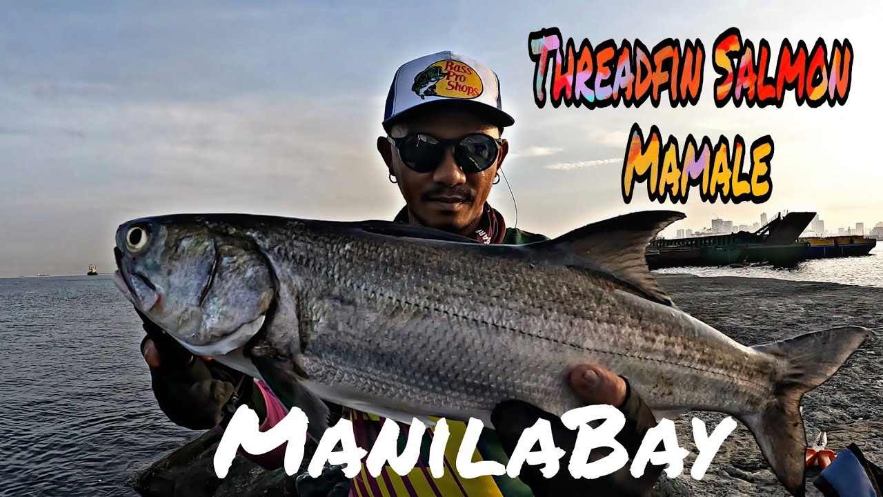 Baseco Fishing with | Hamlet | Ep24 Y3åR1 - YouTube