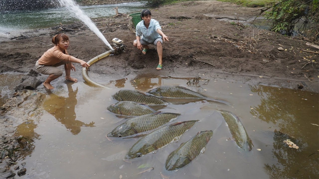 Most Amazing Wild Fishing, Unique Exciting Catch Many Fish With A Large ...