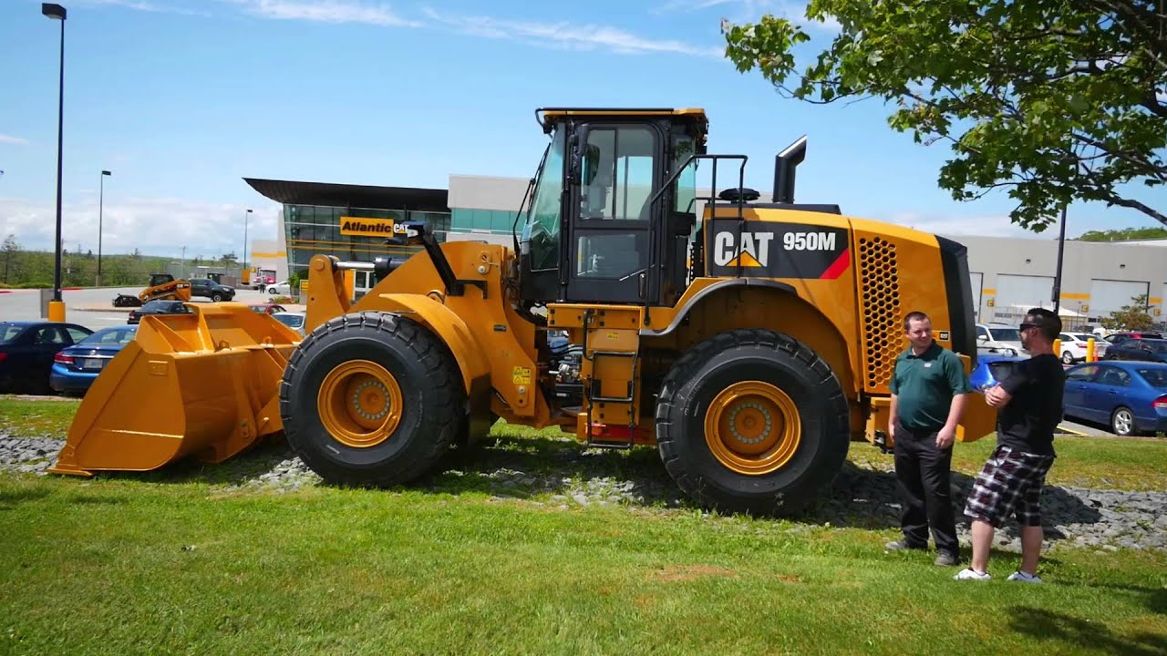 Atlantic Cat Dartmouth, NS - YouTube