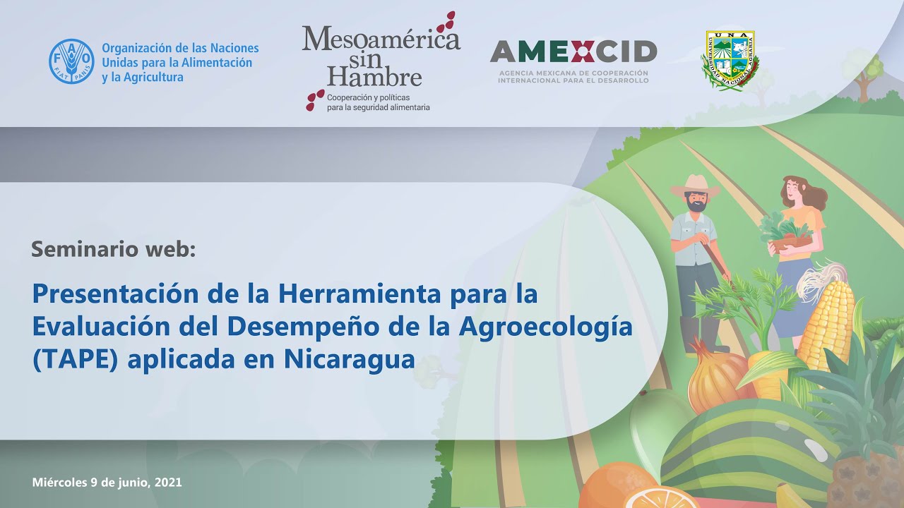 Lanzamiento regional de Herramienta TAPE de la FAO - YouTube