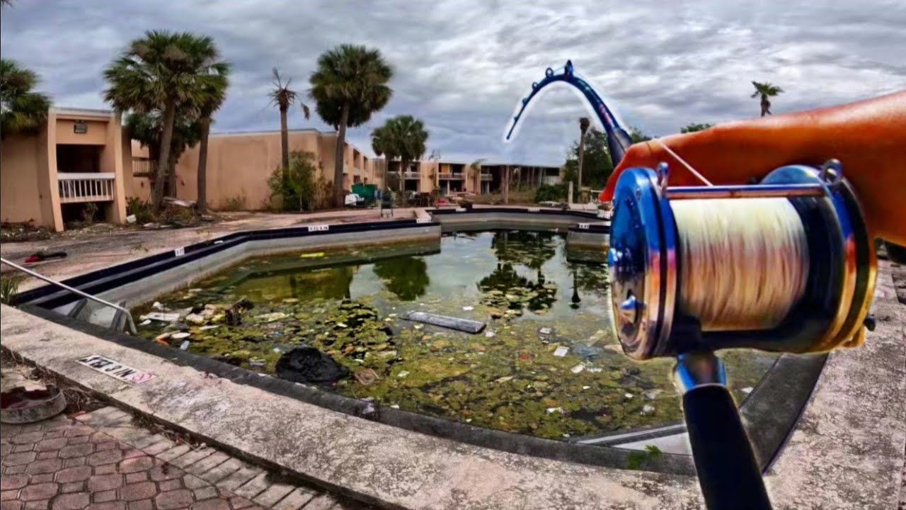 What's Swimming In This Abandoned Hotel Pool? - YouTube