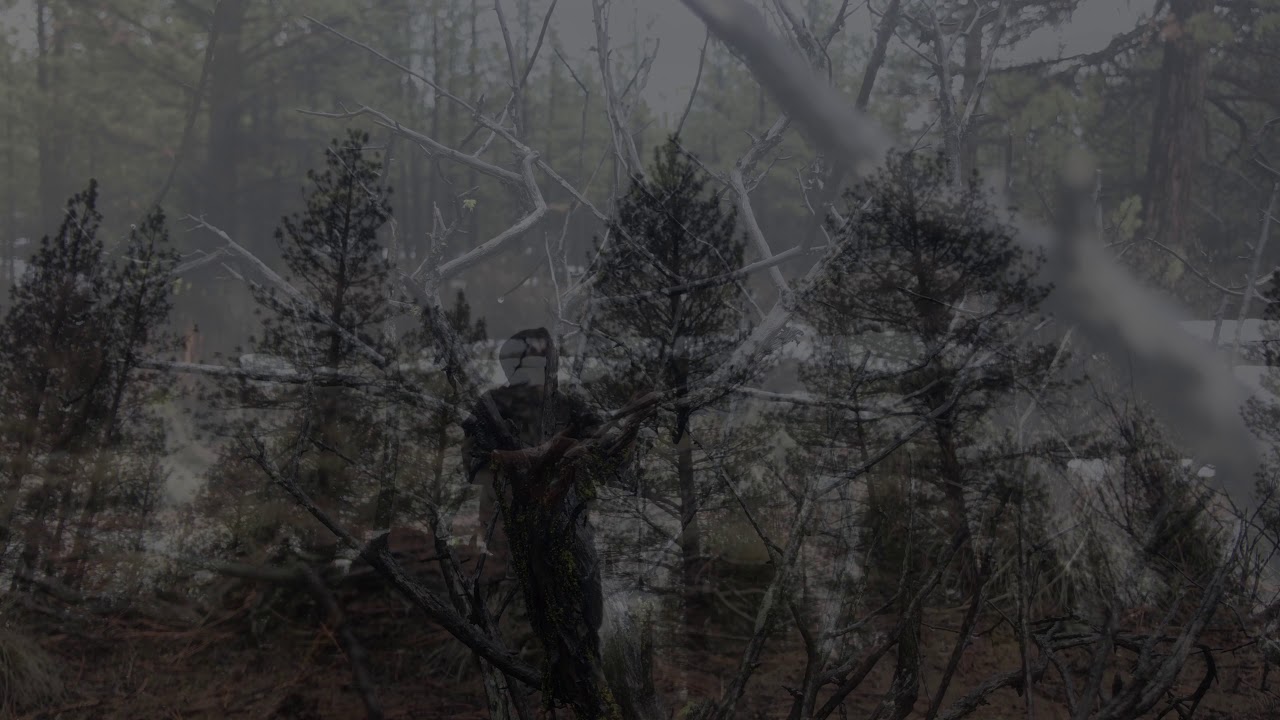 Handmade Fretted Fiddle|Stormbound Guitars Promo 2 - YouTube