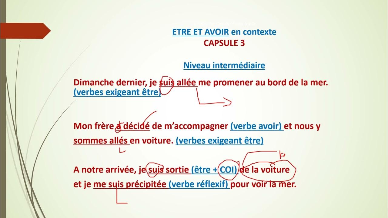 54. GRAMMAR IN CONTEXT: CAPSULE 3 : ETRE ou AVOIR - YouTube