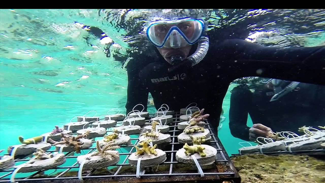 Namada Village, Fiji Islands - Sept 22-24, 2015 - YouTube