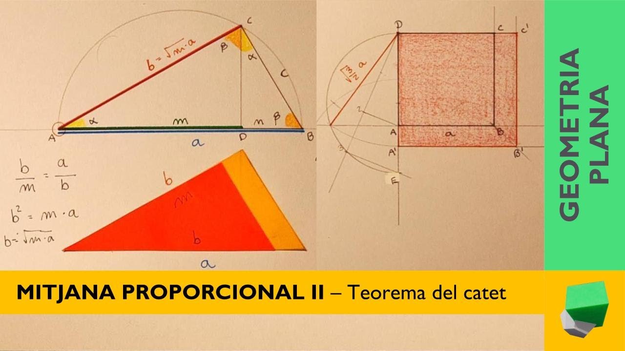 Mitjana proporcional - Teorema catet - Transformacions anamòrfiques i ...