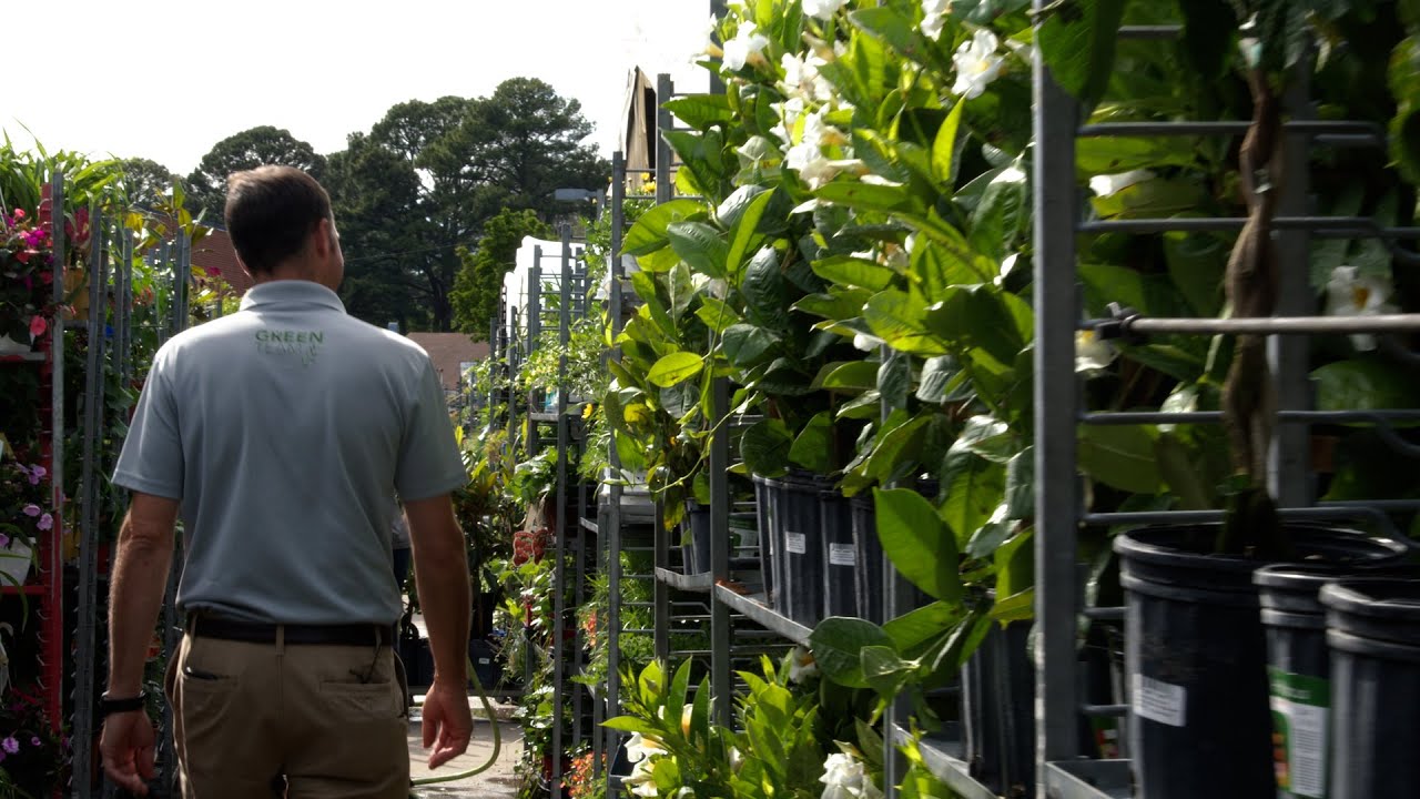 The McDonald Method: Packed to the Brim (S3, E7) - YouTube