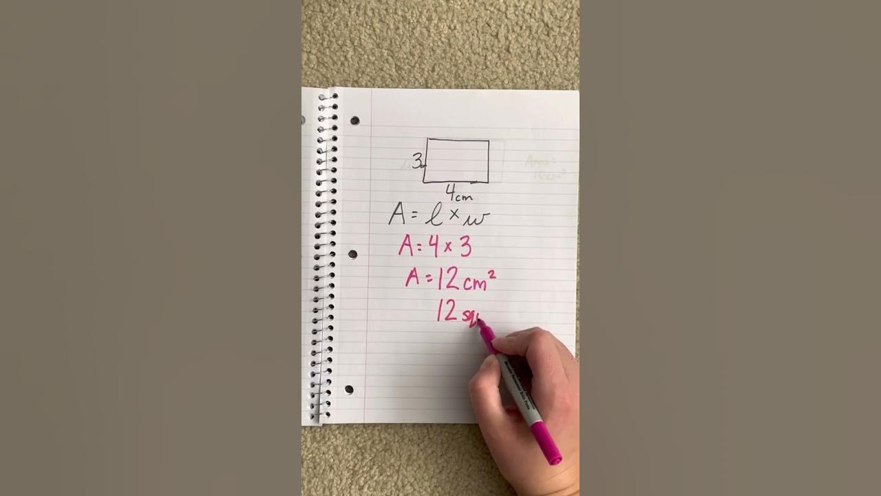 Area of a Rectangle - YouTube