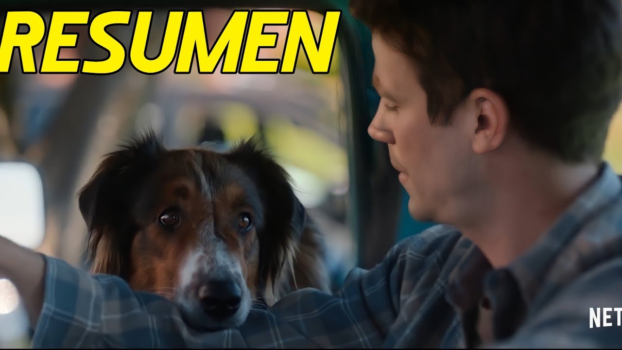 PELÍCULA EL RESCATE DE RUBY - RESÚMEN DE LA PELÍCULA - YouTube