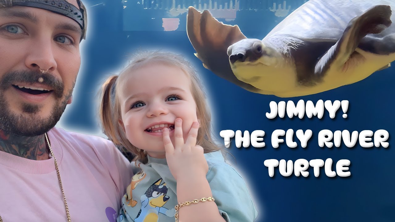 Our FLY RIVER TURTLE gets a NEW AQUARIUM! - YouTube
