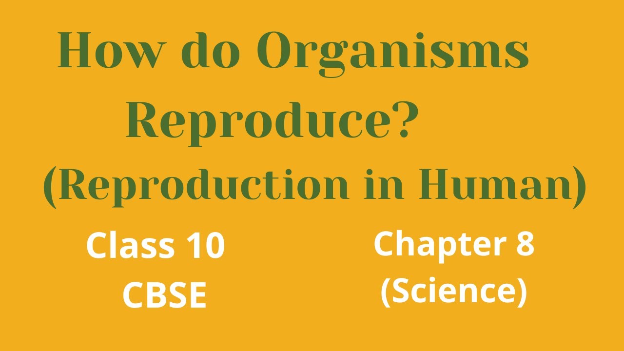 Reproduction in Human Class 10 Science - YouTube