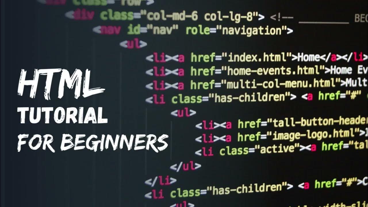 7. HTML Tutorial For Beginners Part 7 || HTML Beginners Tutorial In ...