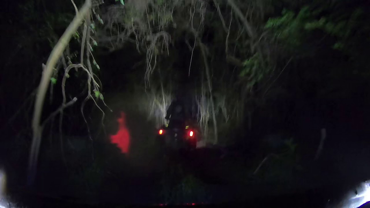 Night ride backwards - YouTube