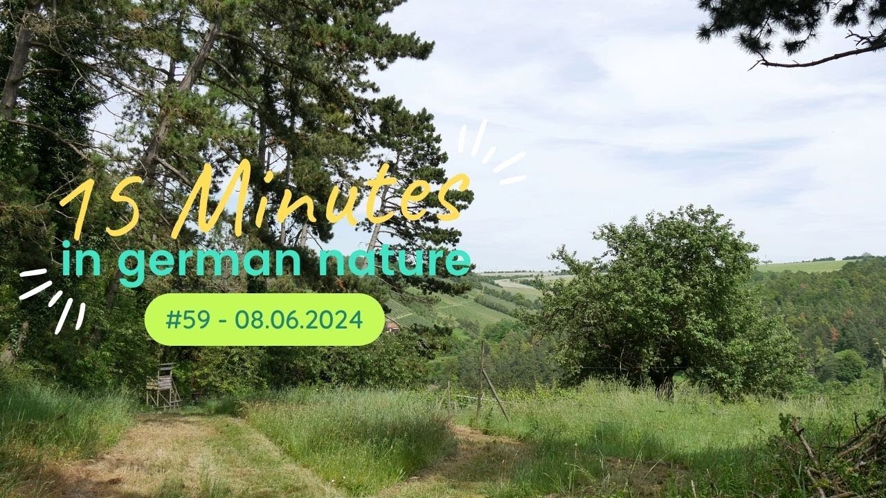 15 minutes in german nature #59 [4K] - YouTube