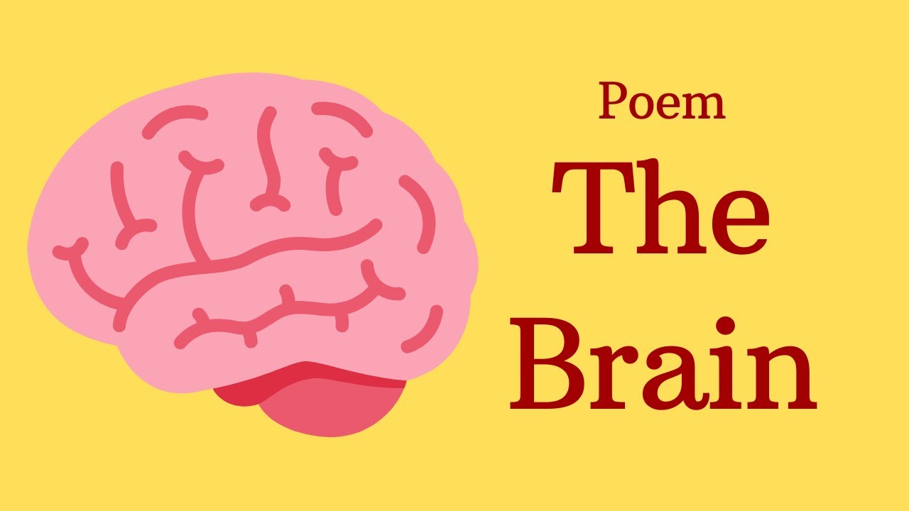 The Brain - Poem - YouTube
