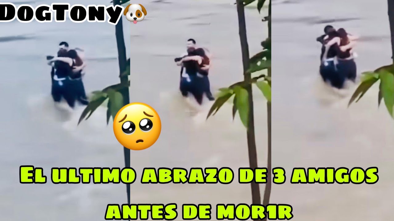 El ultimo abrazo de tres amigos antes de m0rir arrastrador en Rio ...