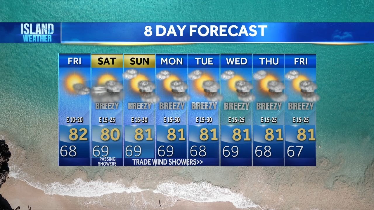 Thursday Evening Weather | Feb. 22, 2024 - YouTube