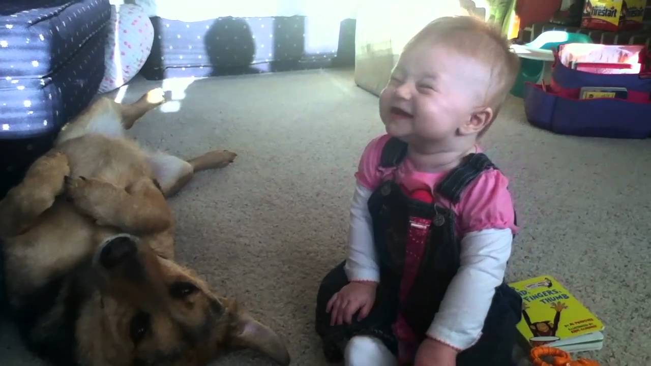 A "windy" day at home - YouTube