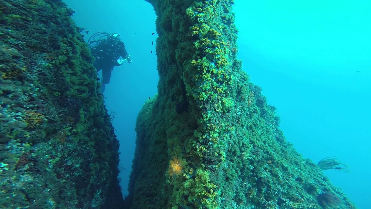 Plongée cap Morgiou - YouTube