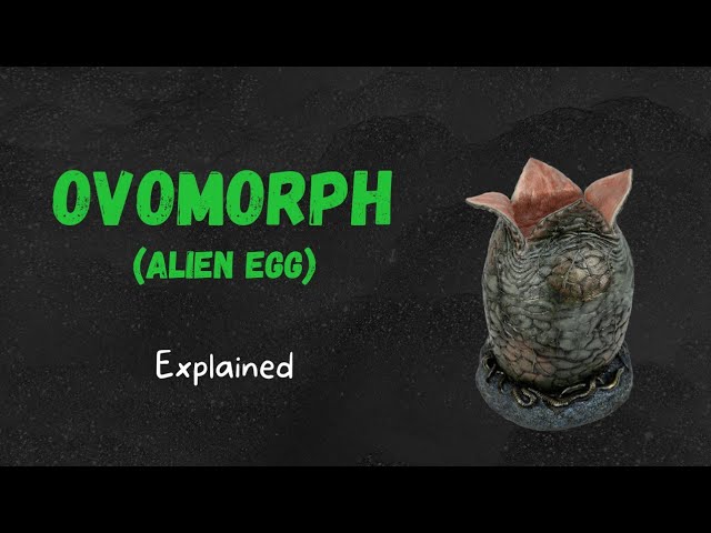 Xenomorph Egg Opening Alien Xenomorph Storage Egg : Motion Activated