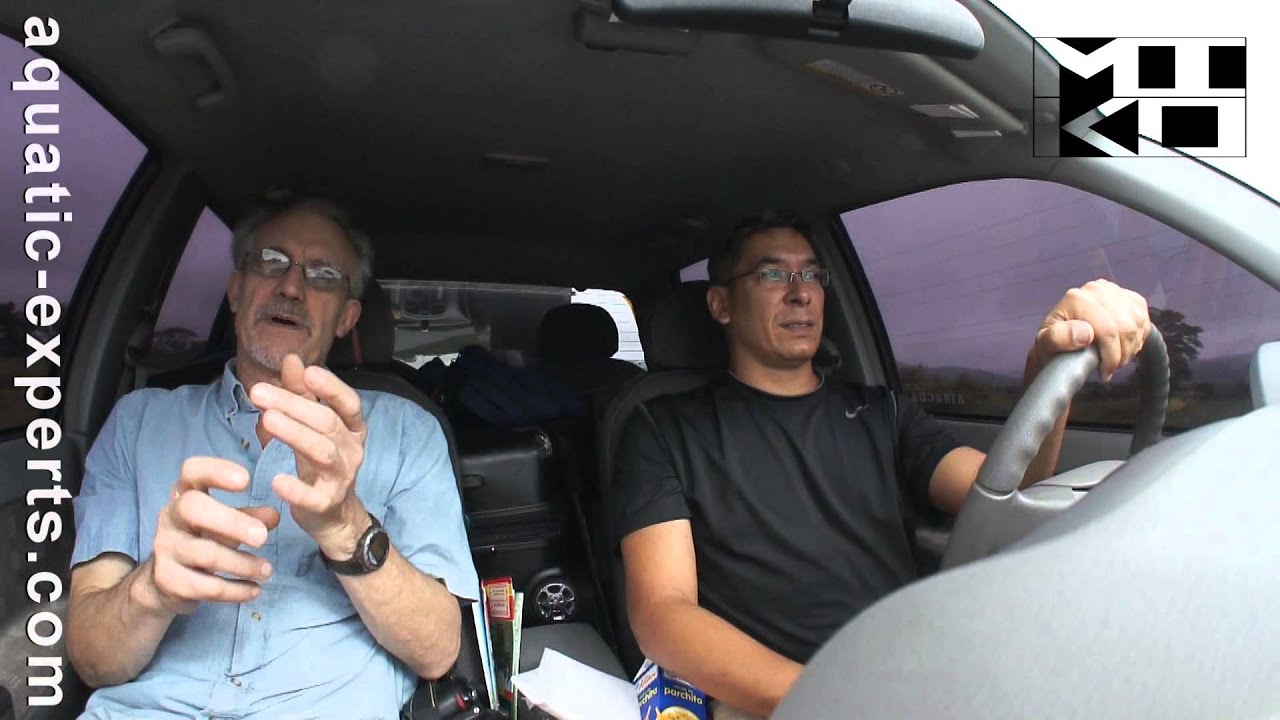 THE FISH GUYS EXPEDITION 2 - PART 2 - YouTube