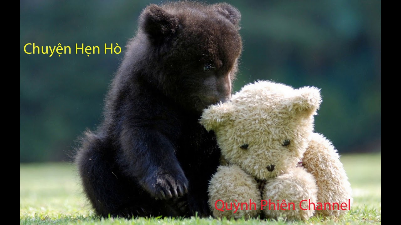 Chuyện Hẹn Hò - Quang Lê - YouTube