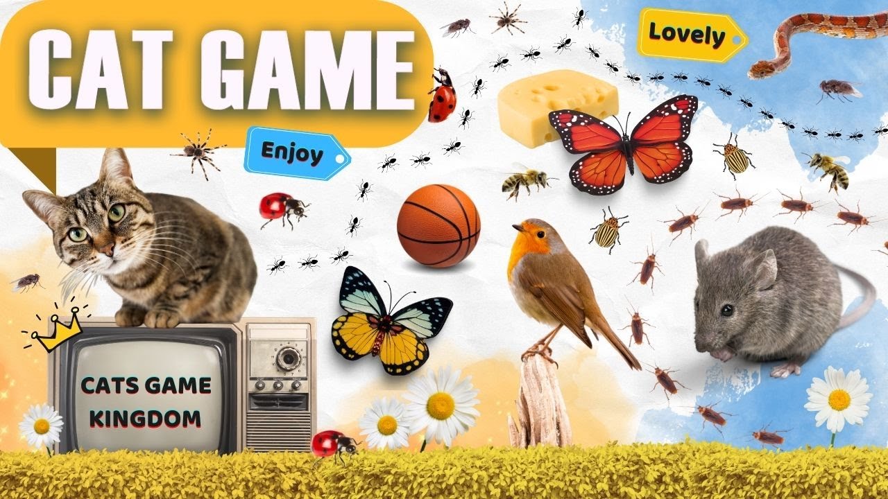 CAT GAMES - 3 Hours Ultimate Games Compilation - Cat Game Kingdom 4K ...