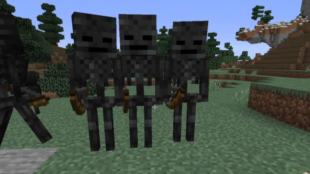 Wither Skeleton
