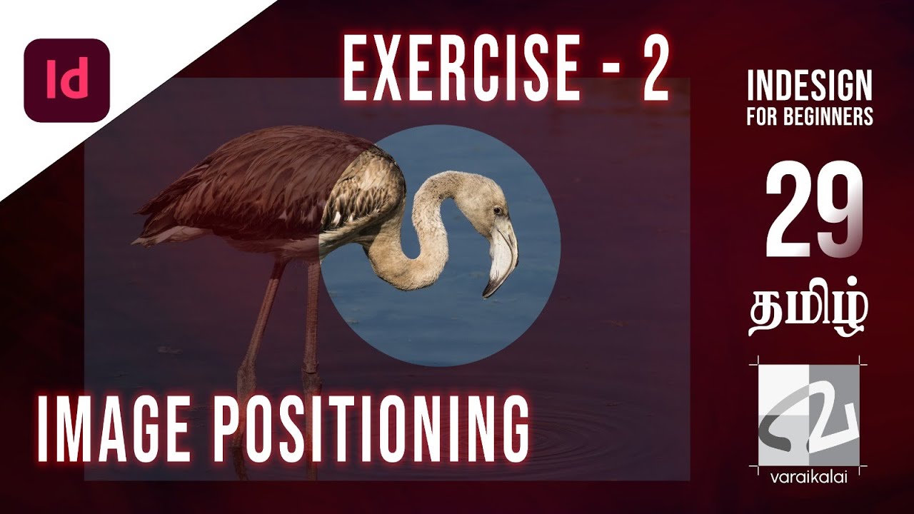 Image Positioning | Exercise 2 | InDesign for Beginners - 29 #indesign ...