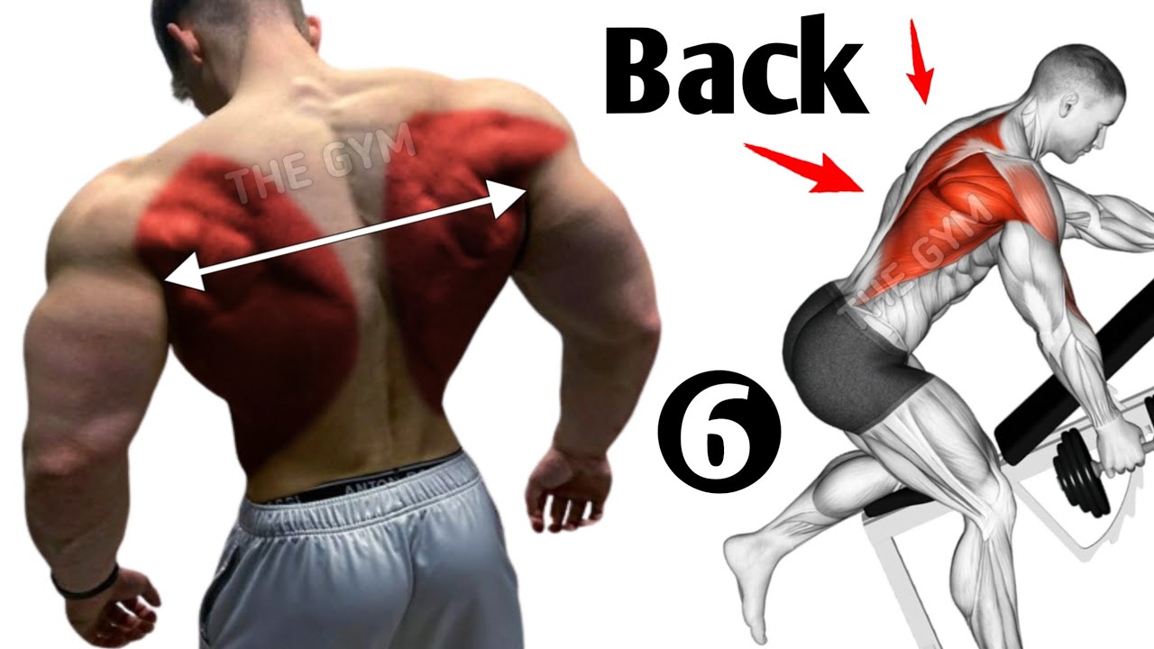 Massive Back Workout At Gym ( 6 effective exercises ) - YouTube
