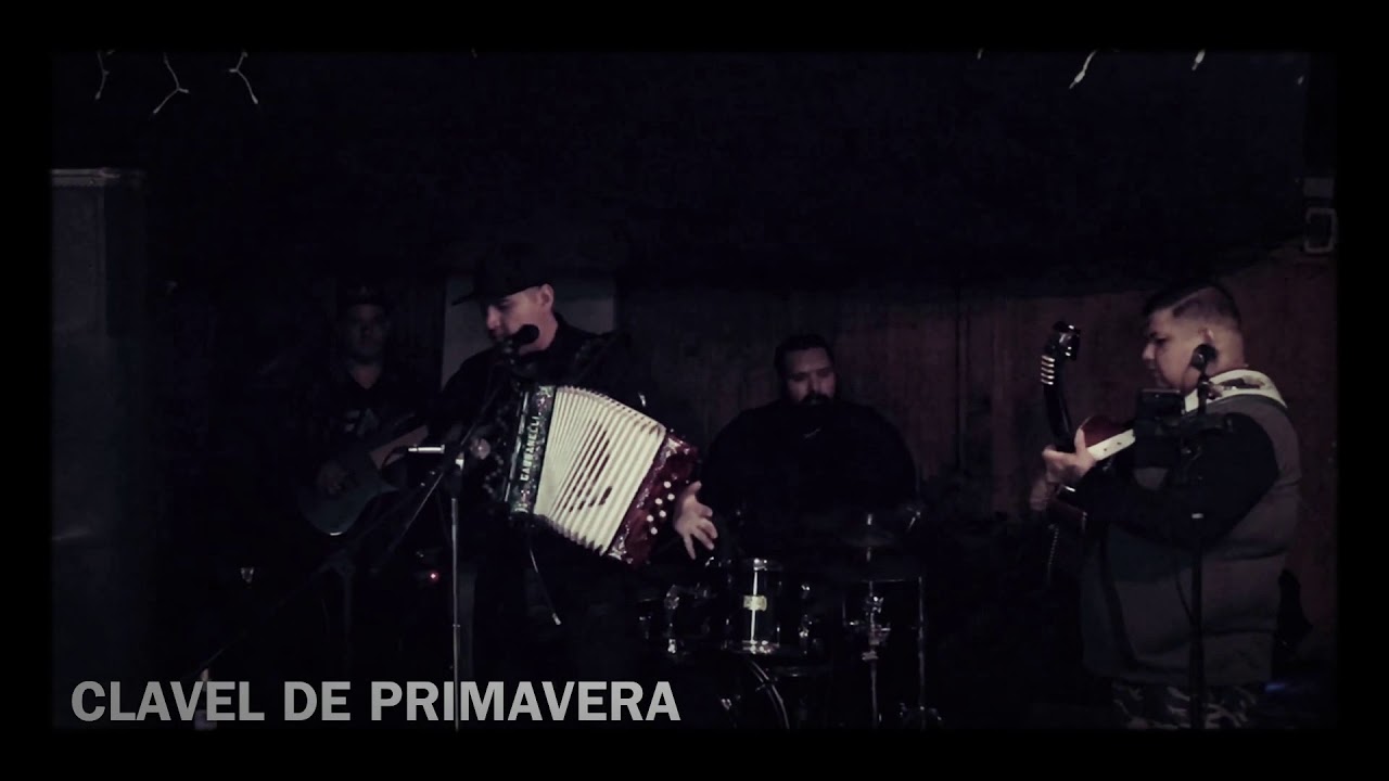 CLAVEL DE PRIMAVERA Armado - YouTube