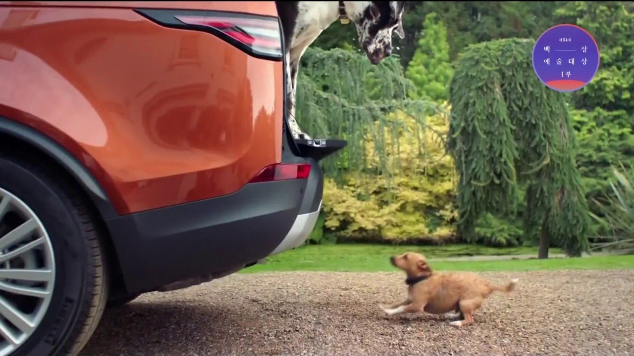 Land Rover Discovery 2018 Dog commercial (korea) - YouTube