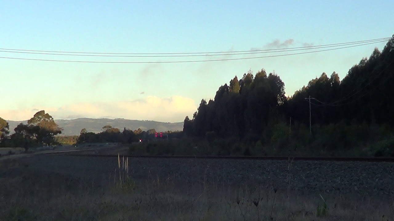 A79 & X43 up Paper train at Hearns Oak - YouTube