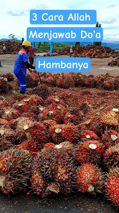 3 cara Allah SWT menjawab do'a hambanya - YouTube