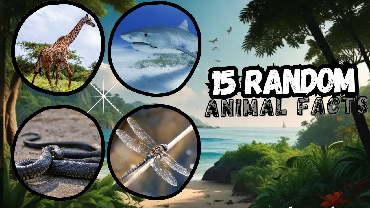 Discover 10 Rare Animal Facts You Didn’t Know l Amazing Animal Facts ...