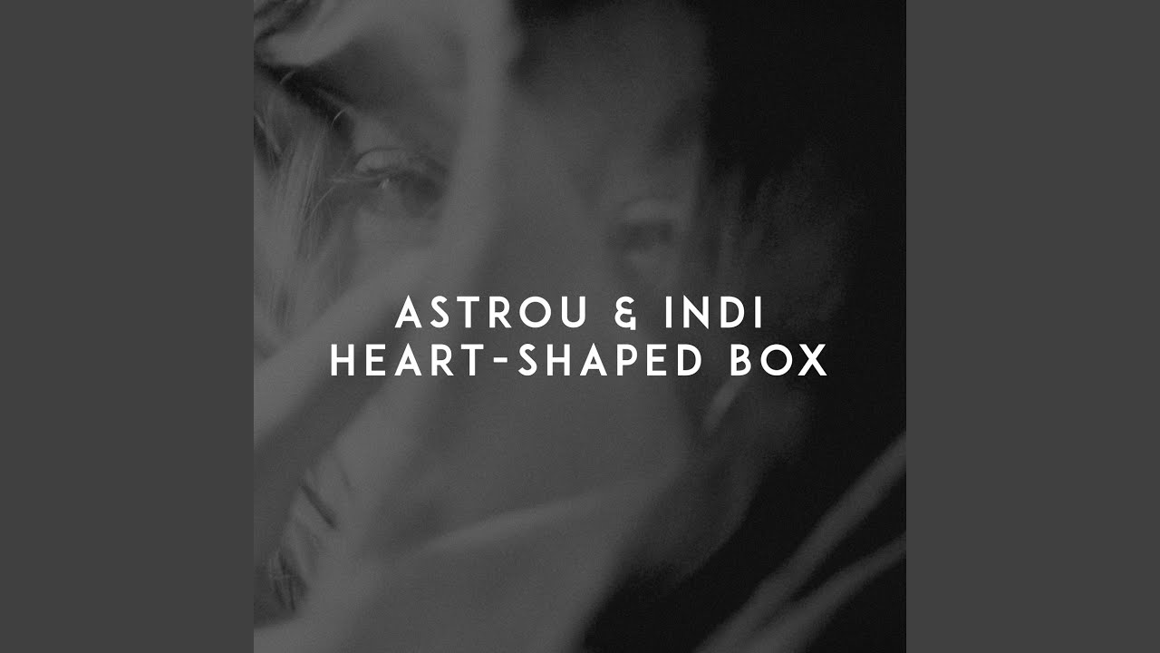 heart-shaped-box-youtube