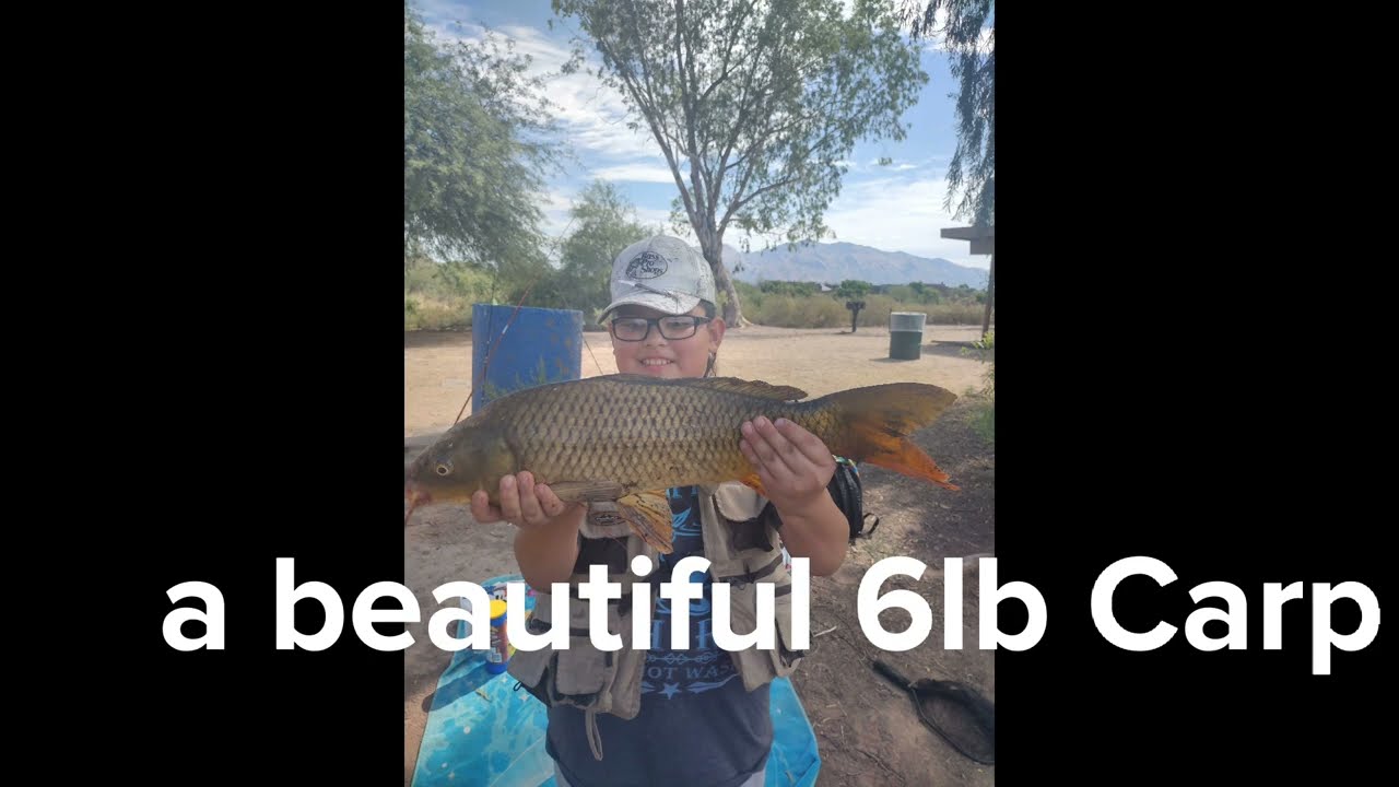 Carp Fishing at silverbell Lake Tucson Az finally caught one - YouTube