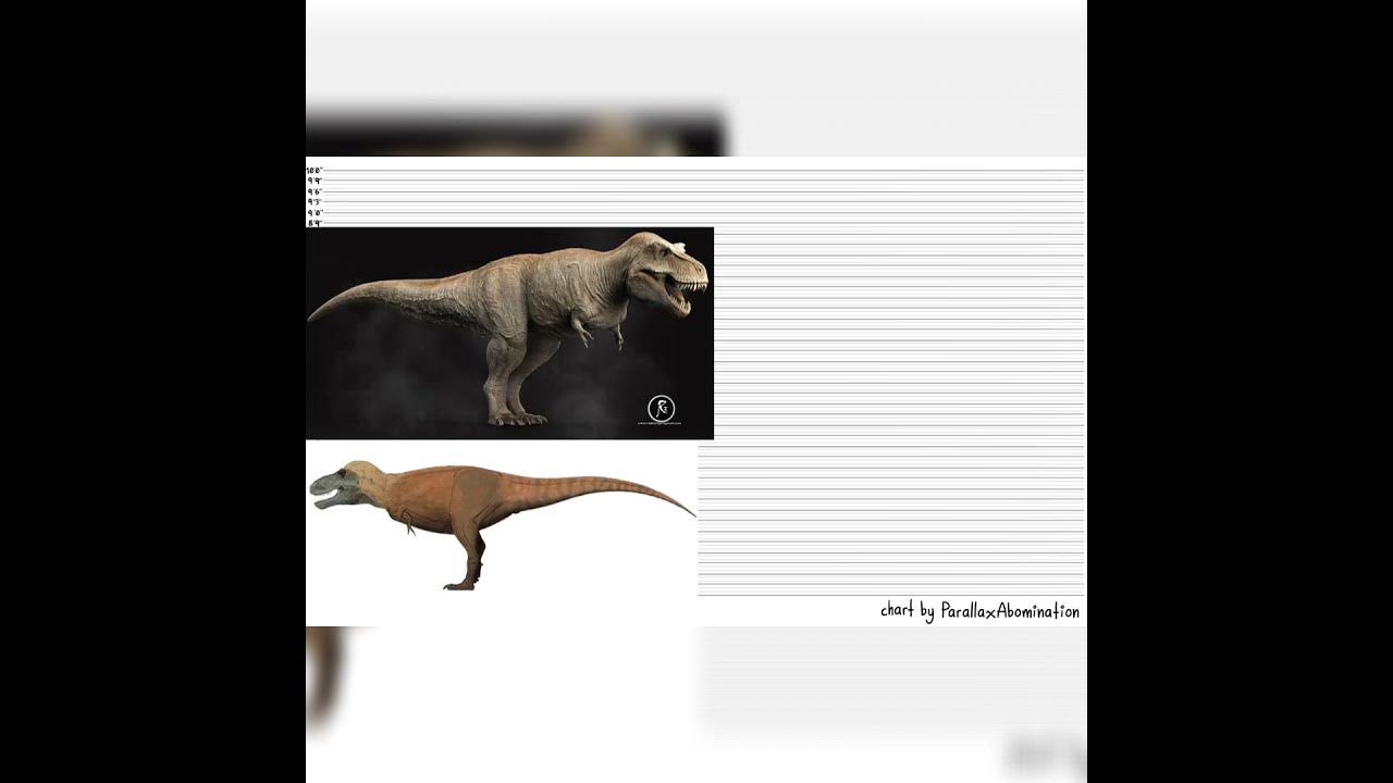 Scotty The Tyrannosaurus Rex Compared To Sue The Tyrannosaurus Rex ...