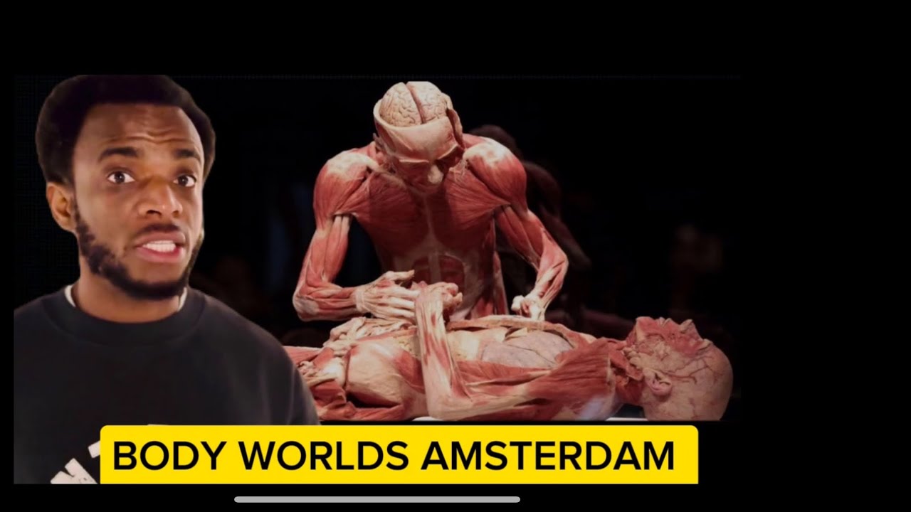 Body Worlds Project
