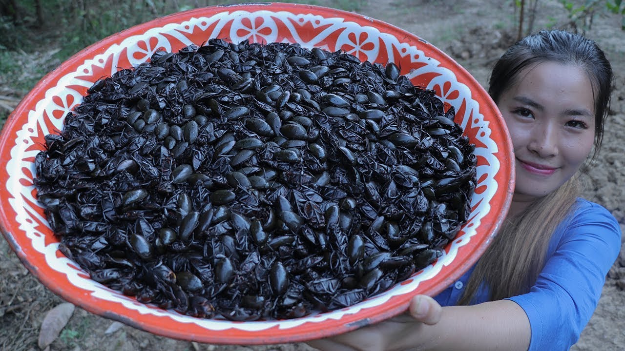 Cooking Water Beetle - Fried Tasty Water Beetle Recipes in my Homeland ...